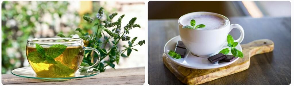10 Herbal Teas That May Help Relieve Constipation Naturally | Health ...